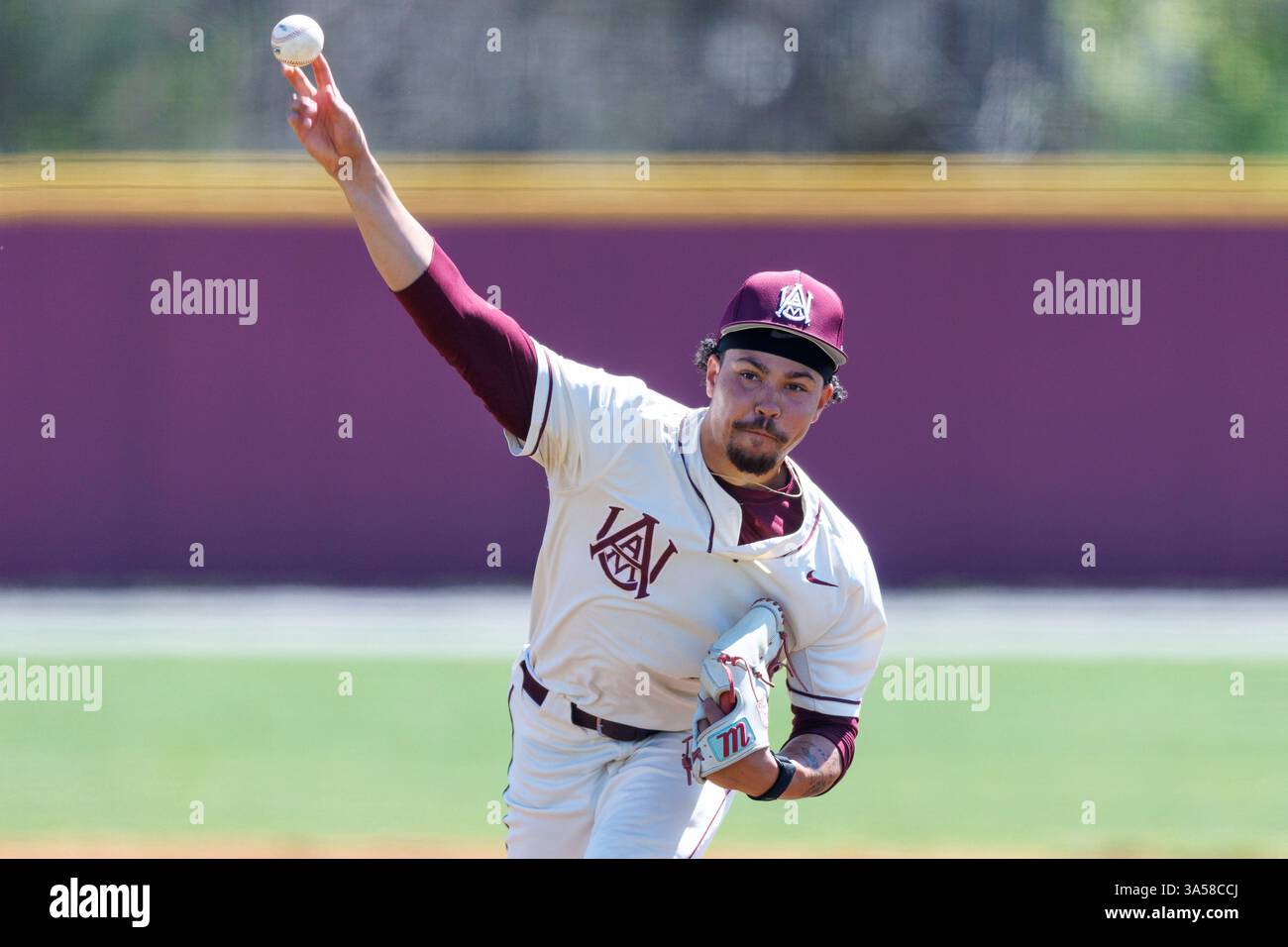 Alabama A&M pitcher Jaiden Proper (10) pitches against Mississippi ...
