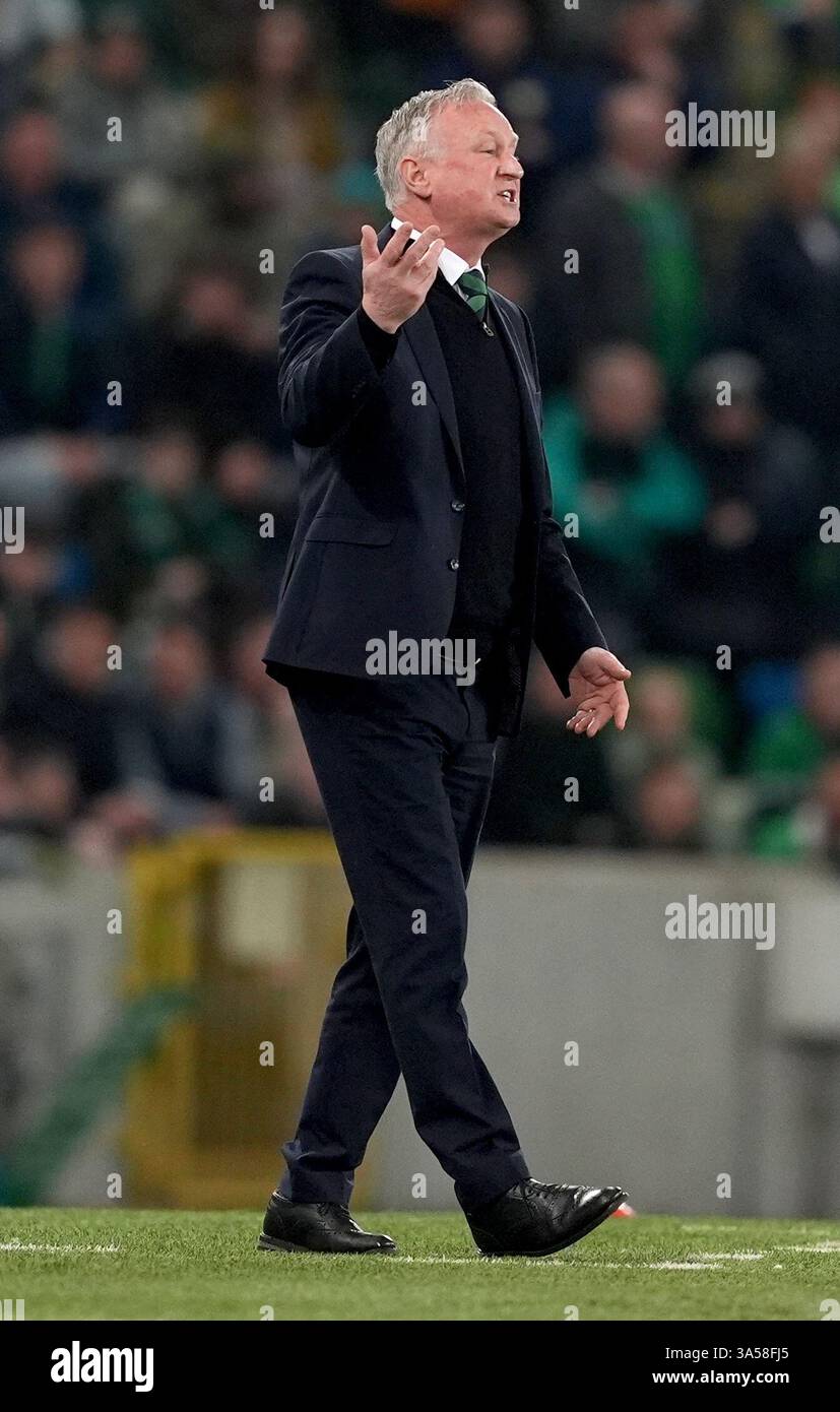 Northern Ireland manager Michael O'Neill during the international ...