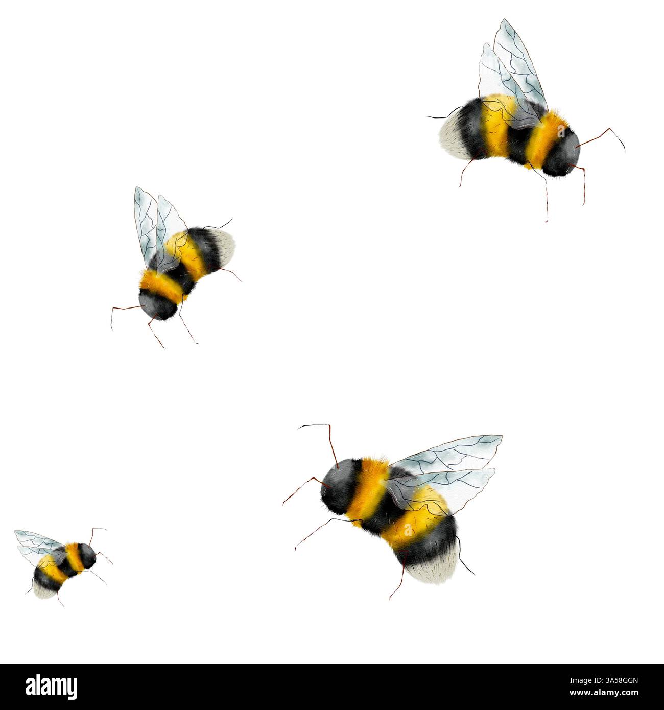 Bumblebee. Seamless watercolor pattern, hand drawn in a realistic style ...