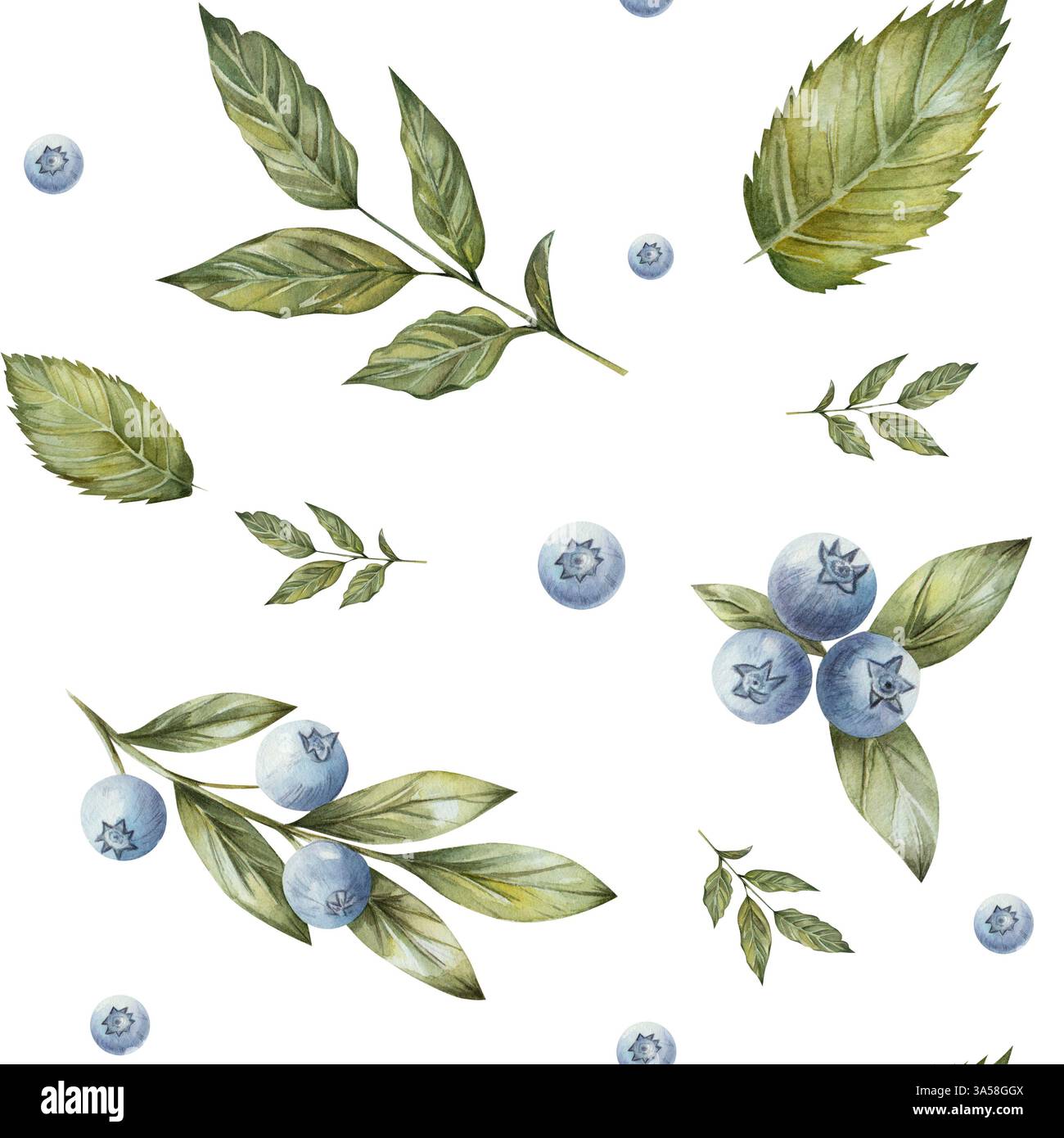 Blueberry. seamless pattern with watercolor blueberries and twigs with ...