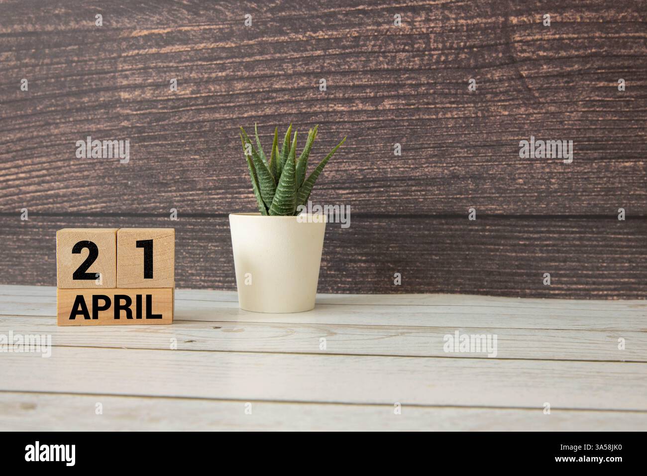 Flower pot and calendar for the snow season from 21 April. Spring time ...