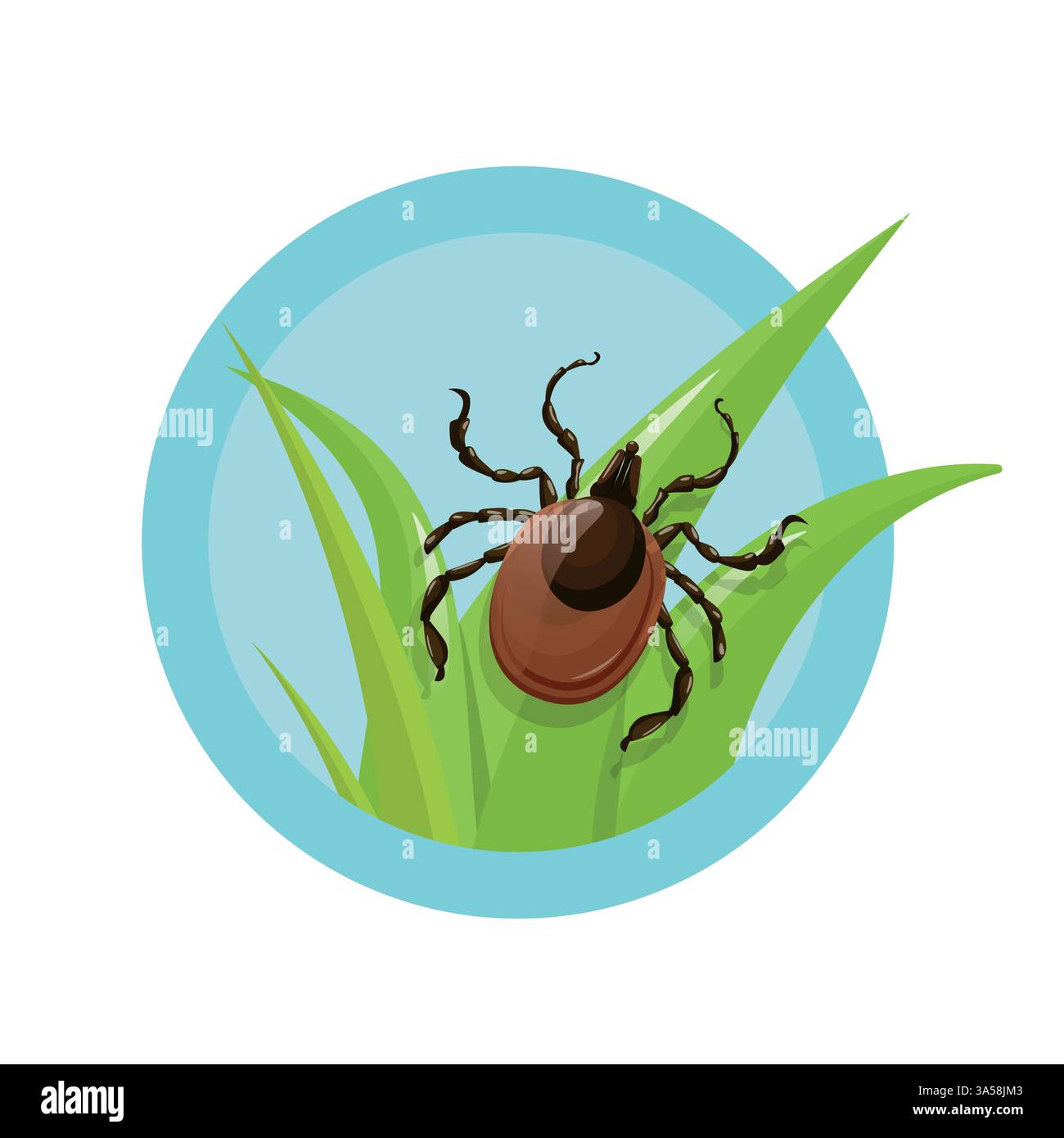 Mite on a grass leaf vector illustration. Tick insect hunting from tall ...
