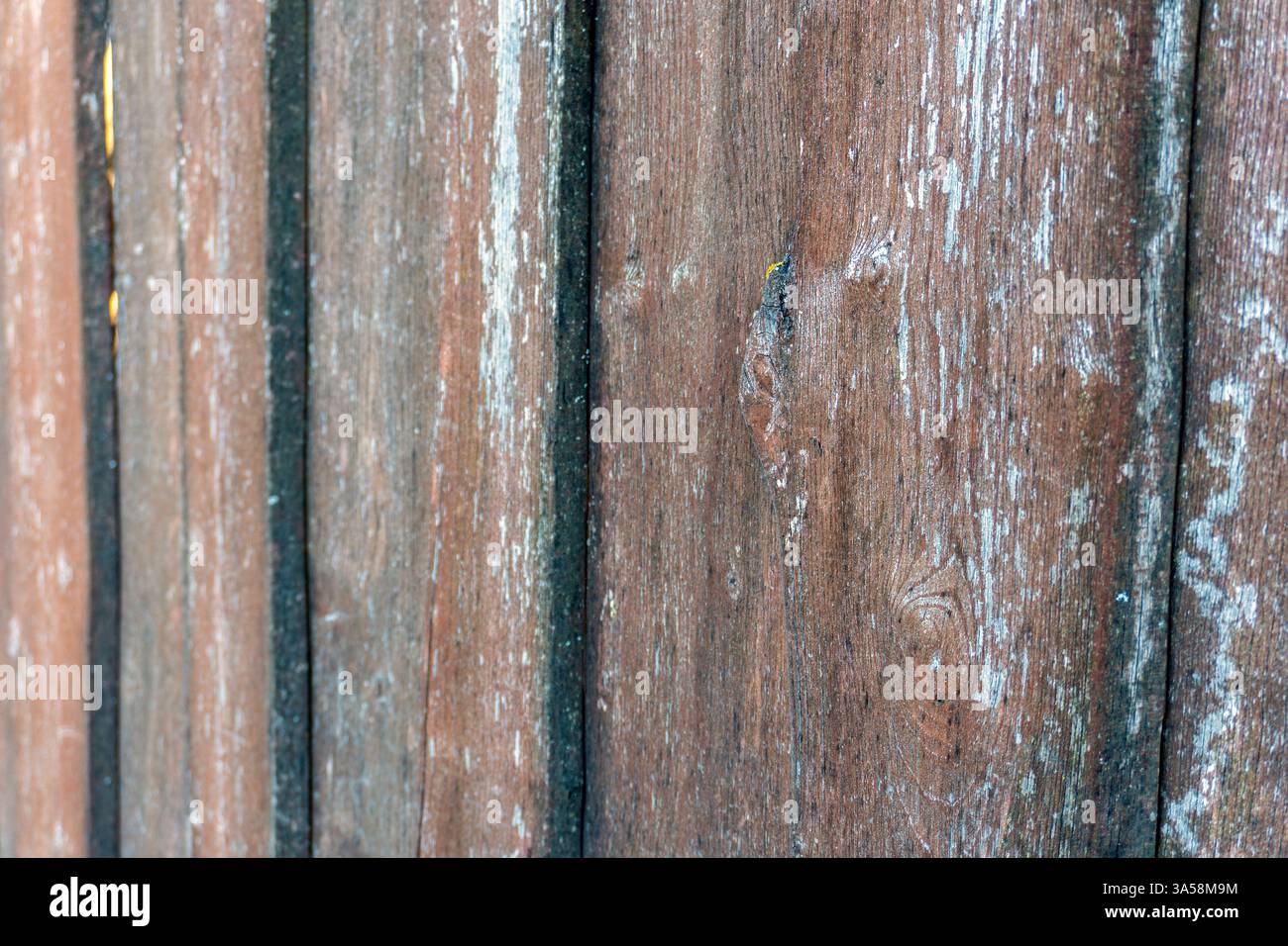 Close-up of a weathered wooden fence shows textures and colors ...