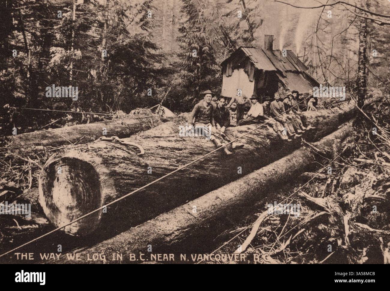 Logging camp canada hi-res stock photography and images - Alamy