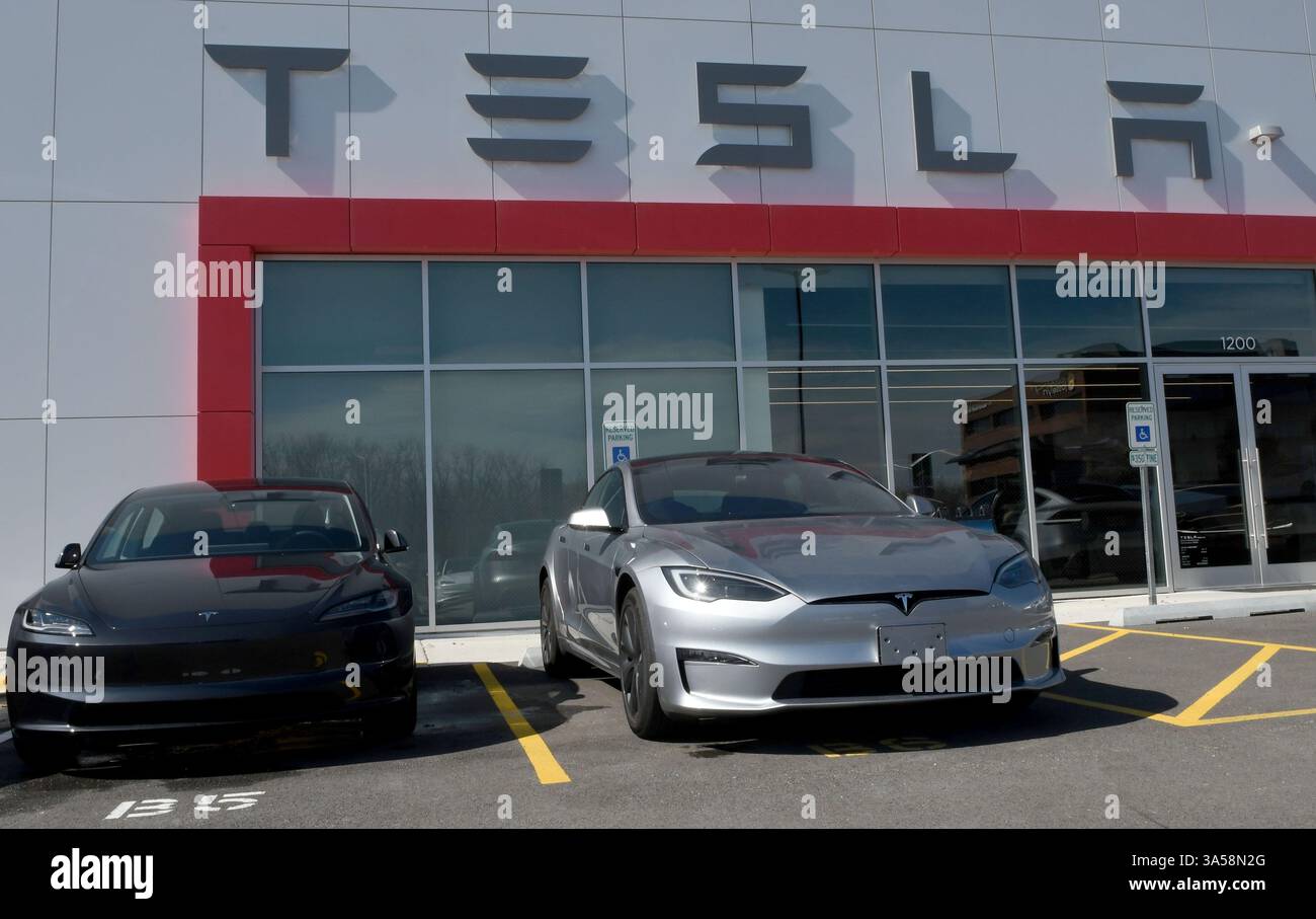 Northbrook, Illinois, USA. 21st Mar, 2025. New Tesla cars and ...