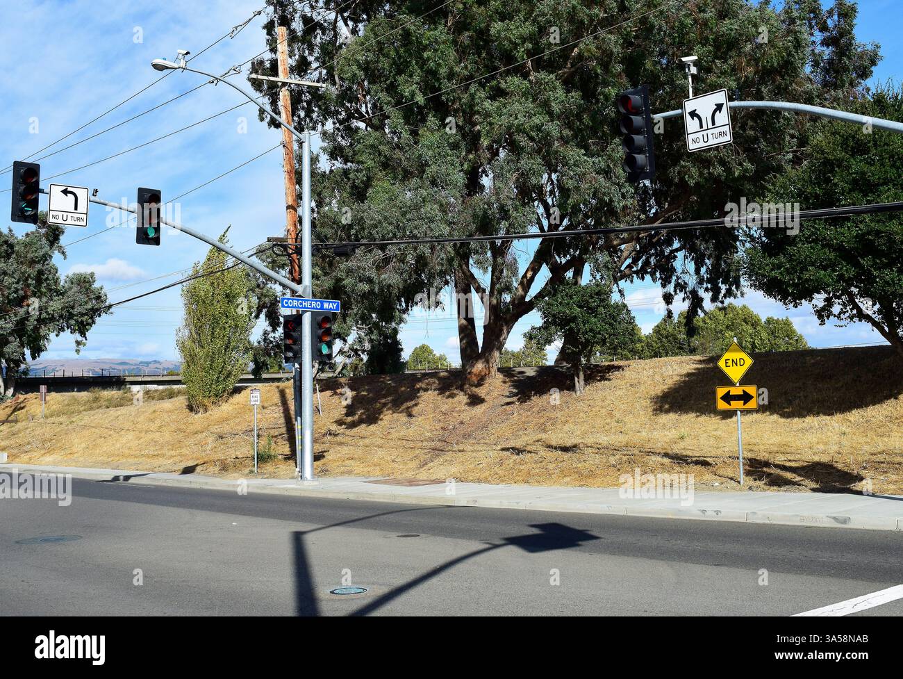 T intersection signs, traffic signals in California Stock Photo - Alamy