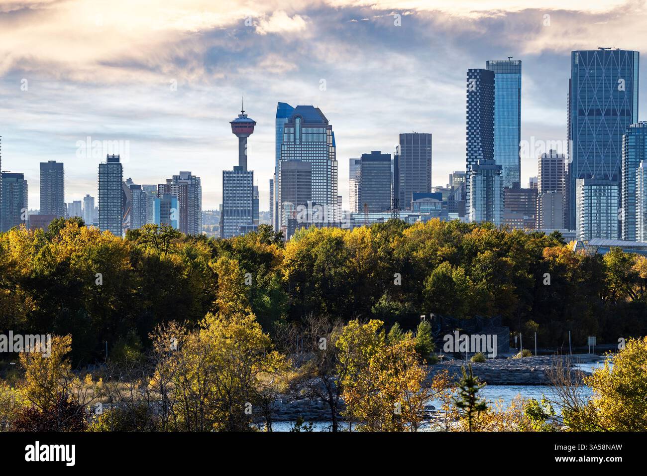 Calgary skyline during autumn overlooking popular landmarks and Bow ...