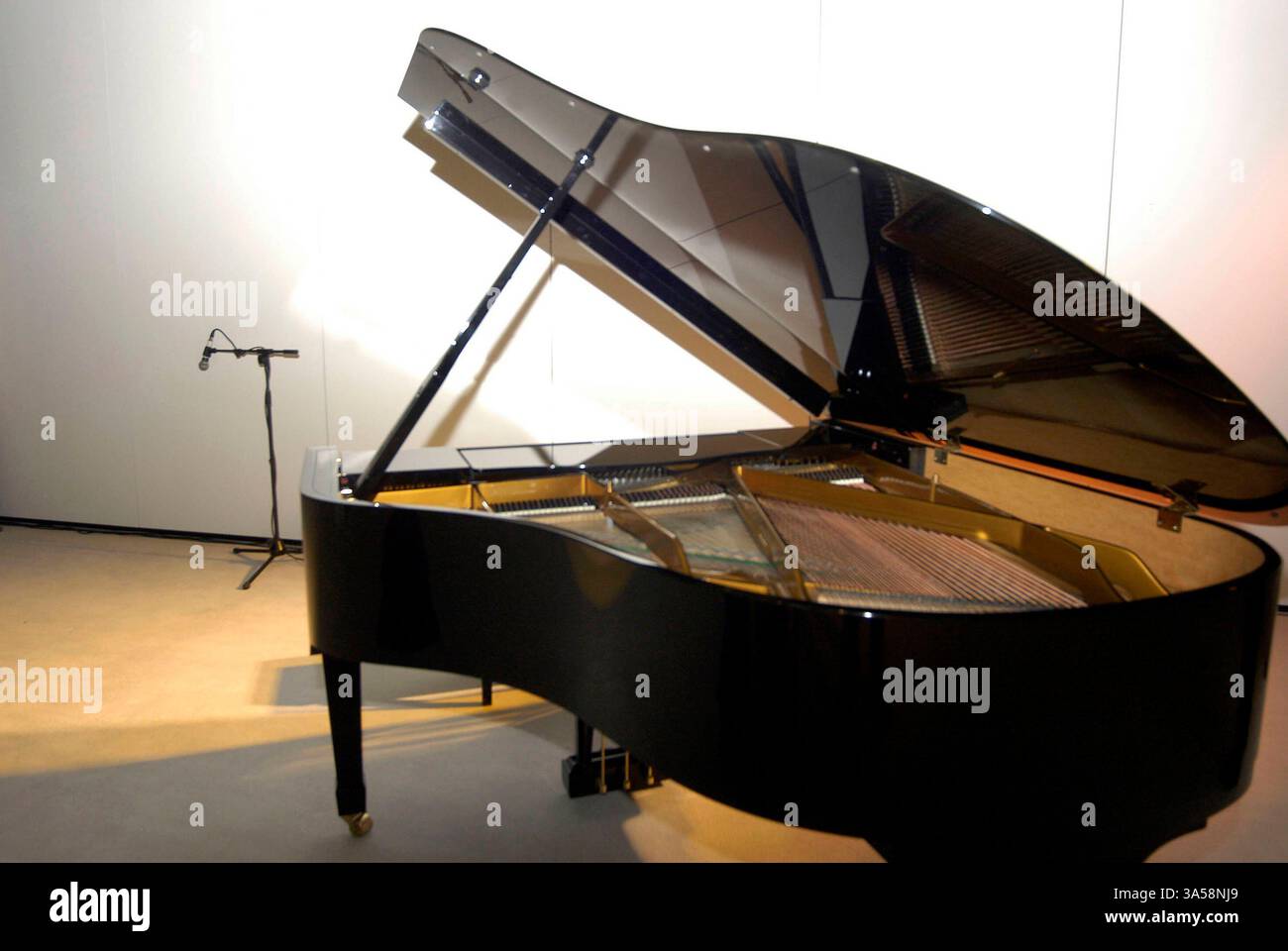 a piano or a grand piano, a stringed musical instrument piano, a ...