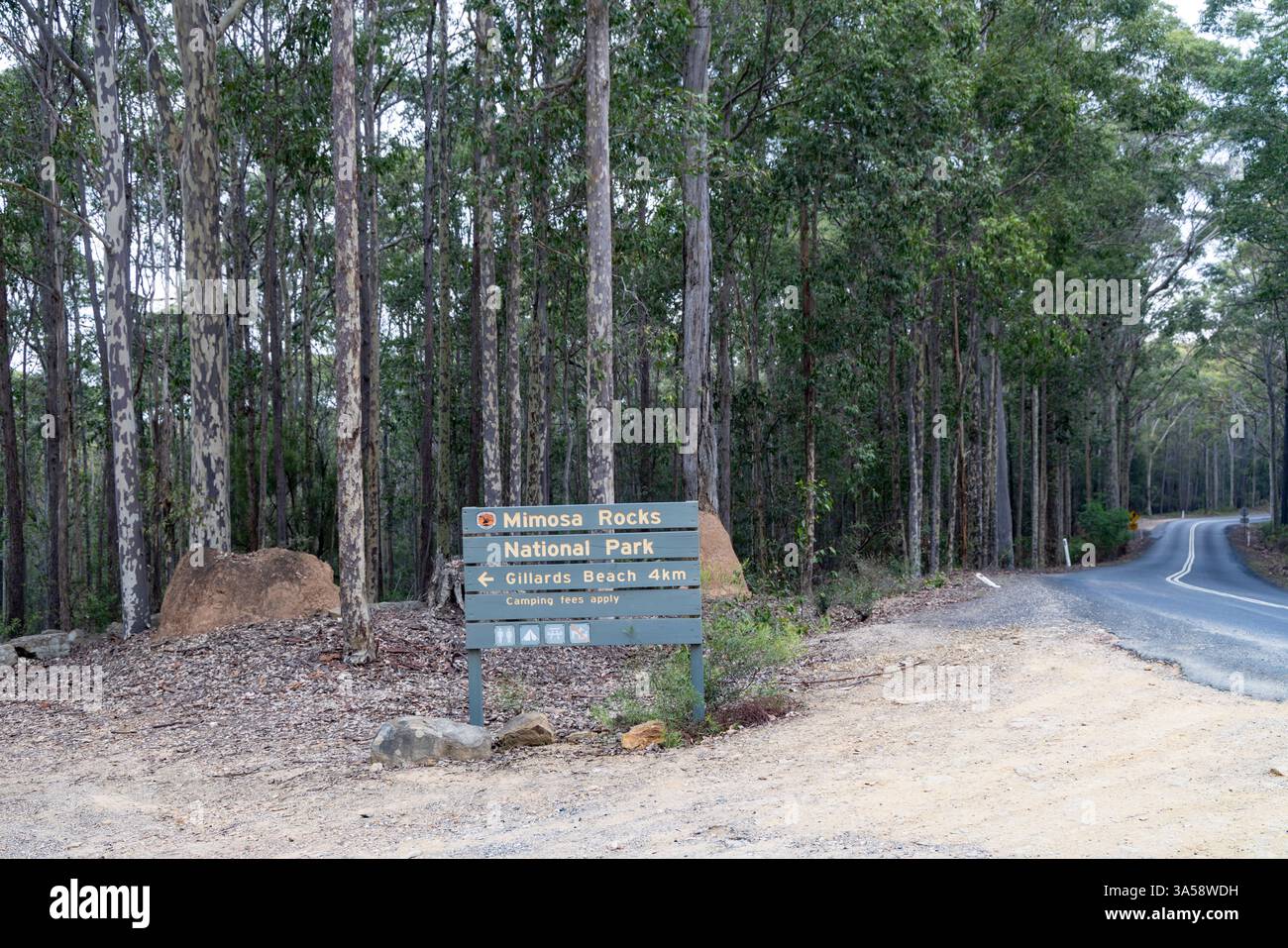 Beach camping at Gillard's campground in Mimosa Rocks national park ...