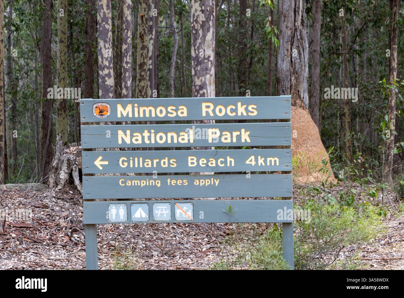 Beach camping at Gillard's campground in Mimosa Rocks national park ...