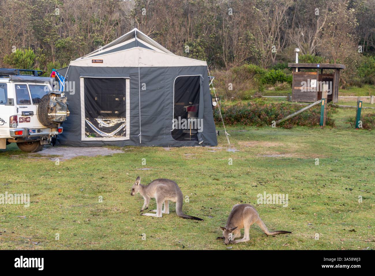Beach camping at Gillard's campground in Mimosa Rocks national park ...