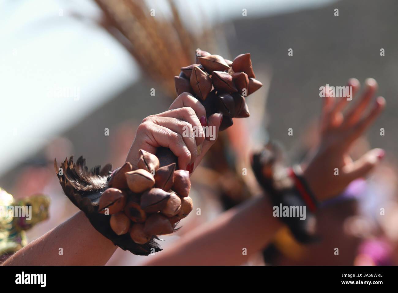 Members of indigenous communities take part during a ritual in front of ...