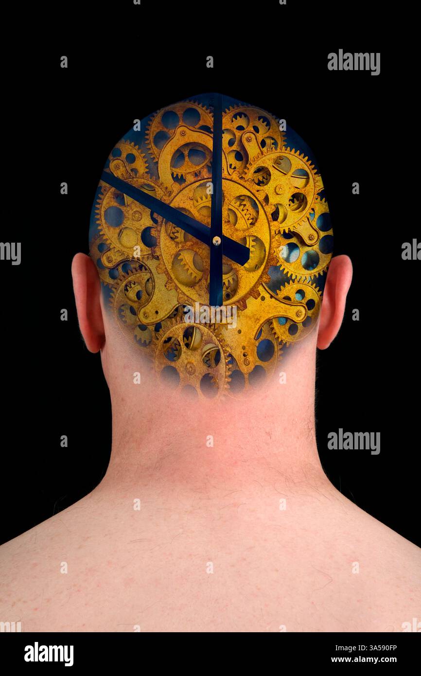 Regulated circadian cycle hi-res stock photography and images - Alamy