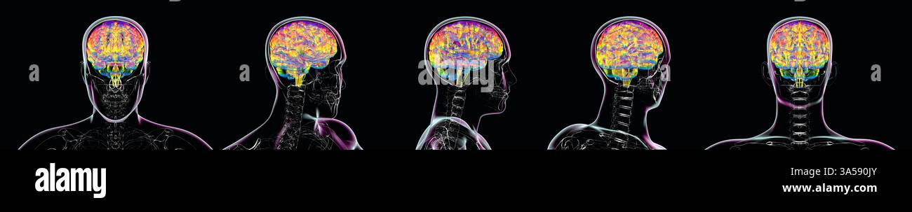 Illustration of the human brain shown from different angles Stock Photo ...