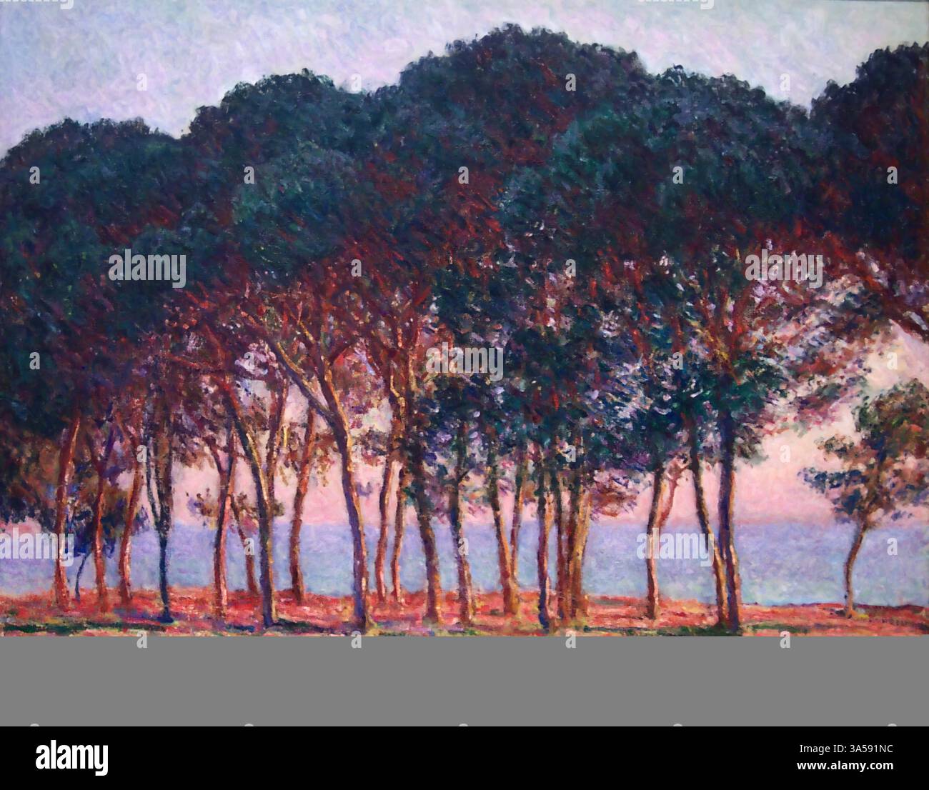 Under the pines Stock Vector Images - Alamy