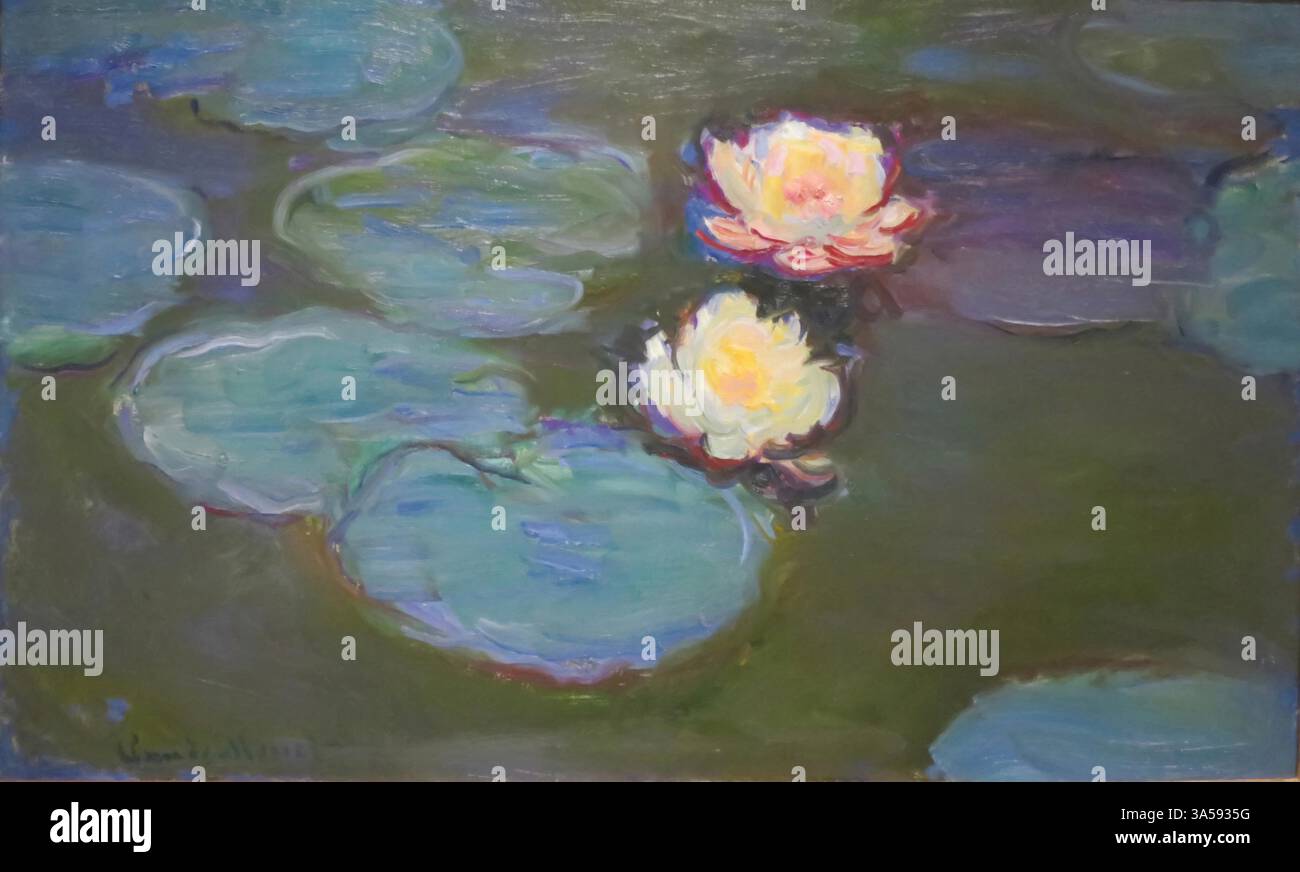 Nympheas water landscape Stock Vector Images - Alamy