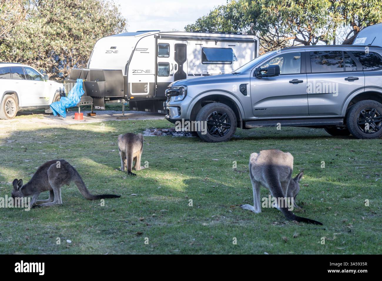 Beach camping at Gillard's campground in Mimosa Rocks national park ...