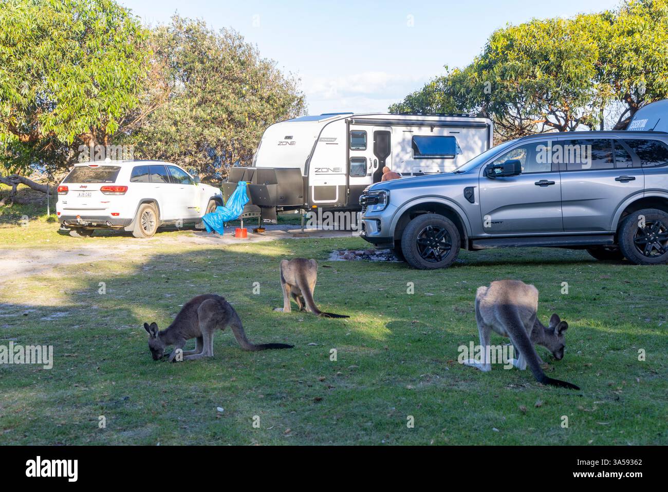 Beach camping at Gillard's campground in Mimosa Rocks national park ...