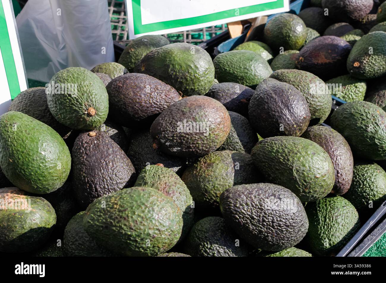 A view of a pile of avocados, on display at a local farmers market ...