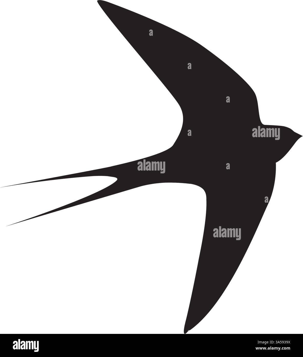 swallow bird or swiftlet silhouette black isolated in white background ...