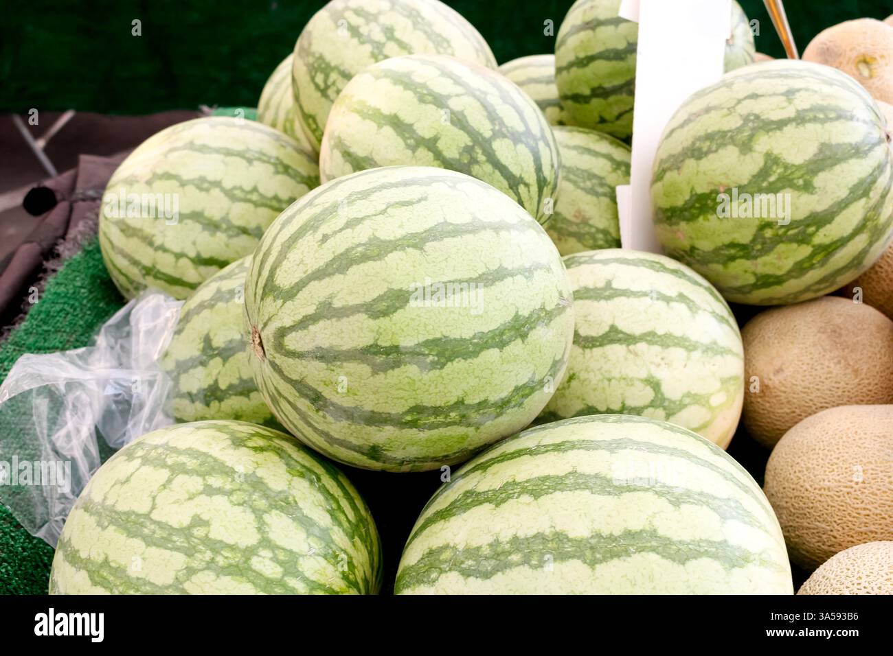A view of several small seedless watermelons, on display at a local ...