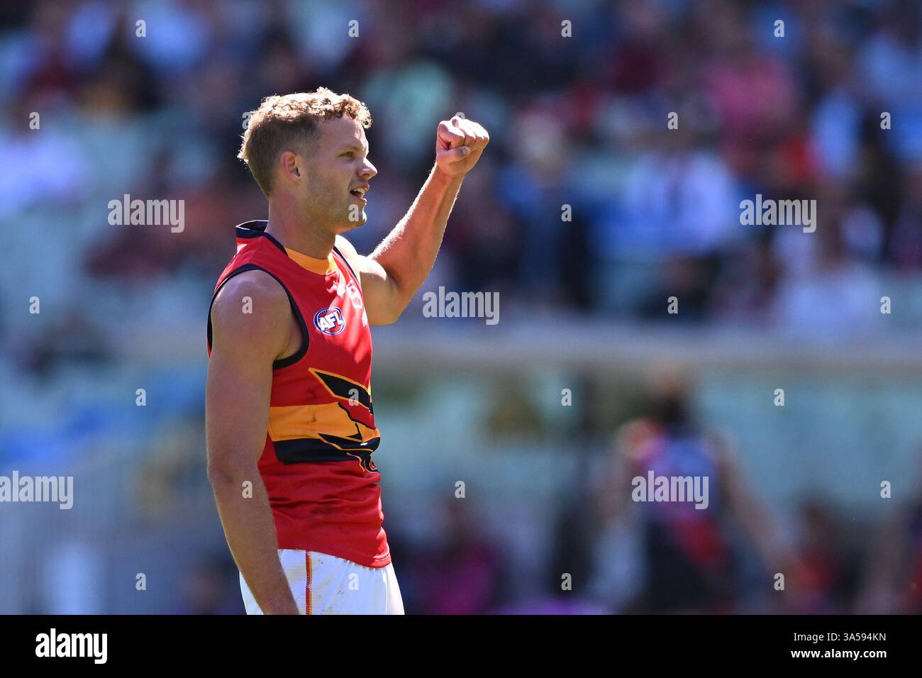 Mitch Hinge of the Crows reacts after kicking a goal during the AFL ...