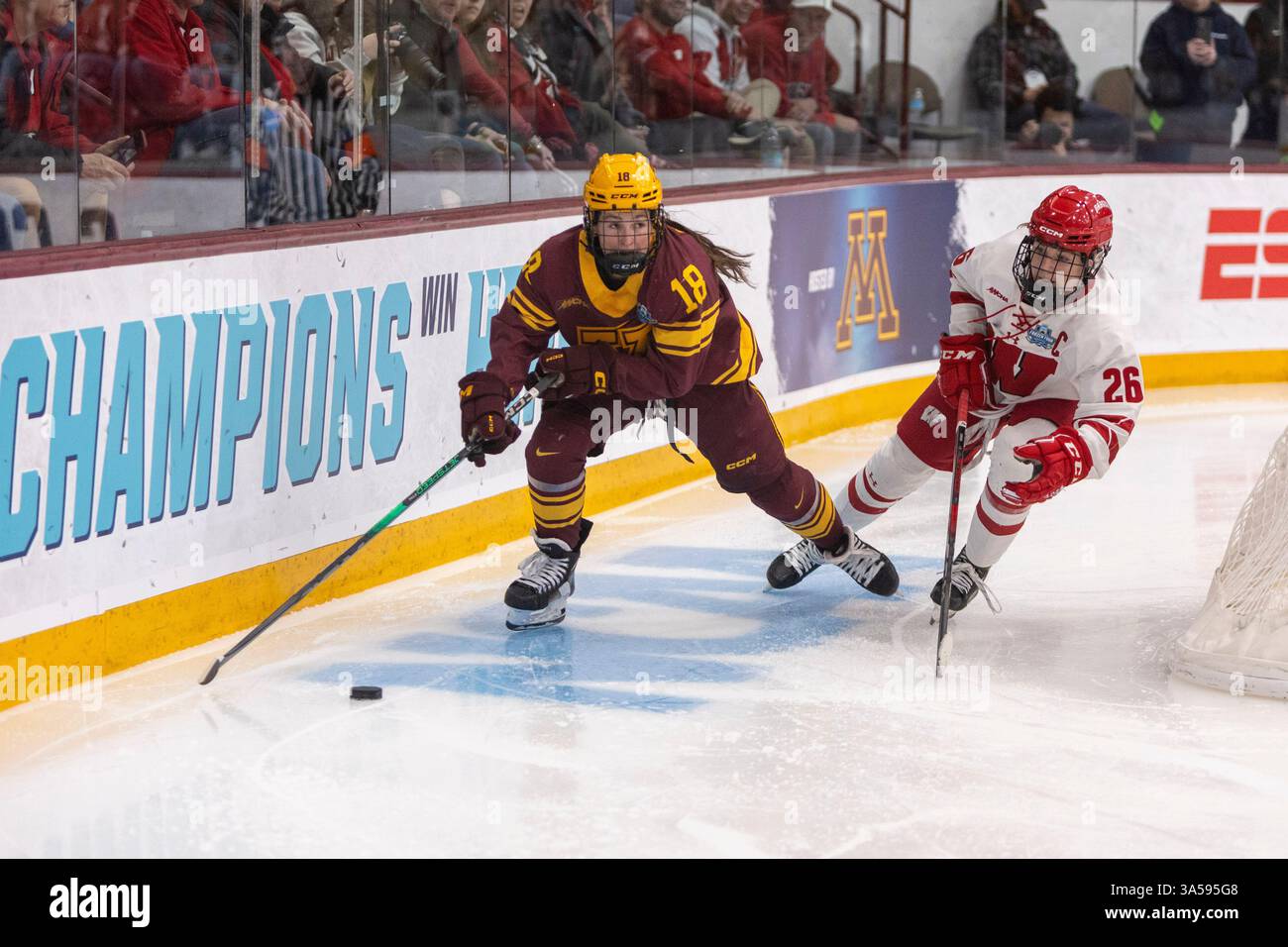 March 21, 2025, Shoreview, Minnesota, USA: University of Minnesota ...