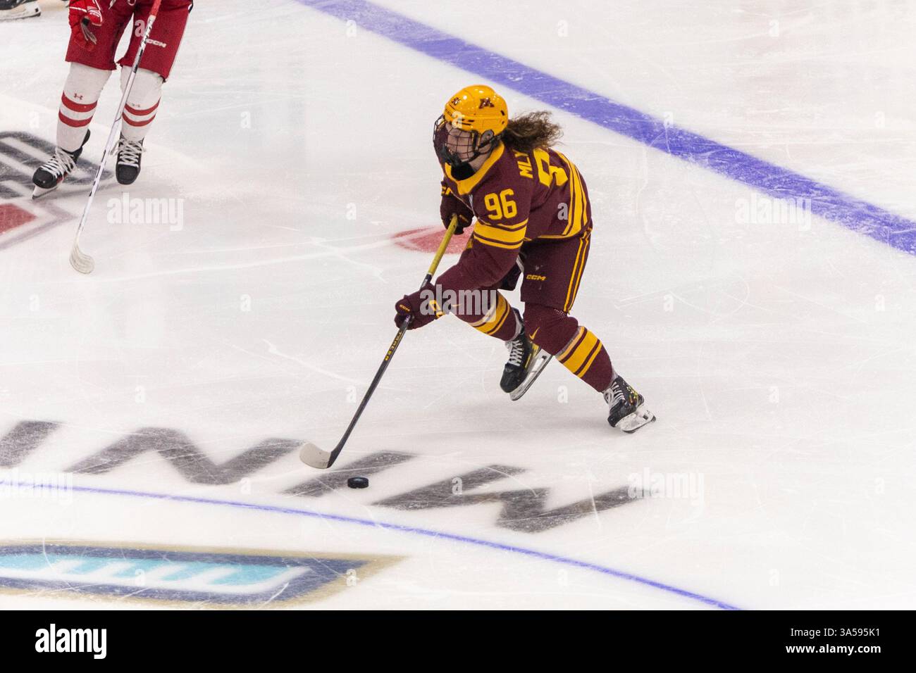 March 21, 2025, Shoreview, Minnesota, USA: University of Minnesota ...