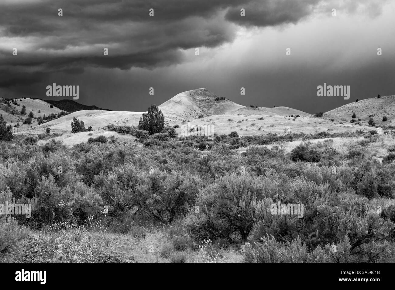 North America, United States, Oregon, Central Oregon, Redmond, Bend ...