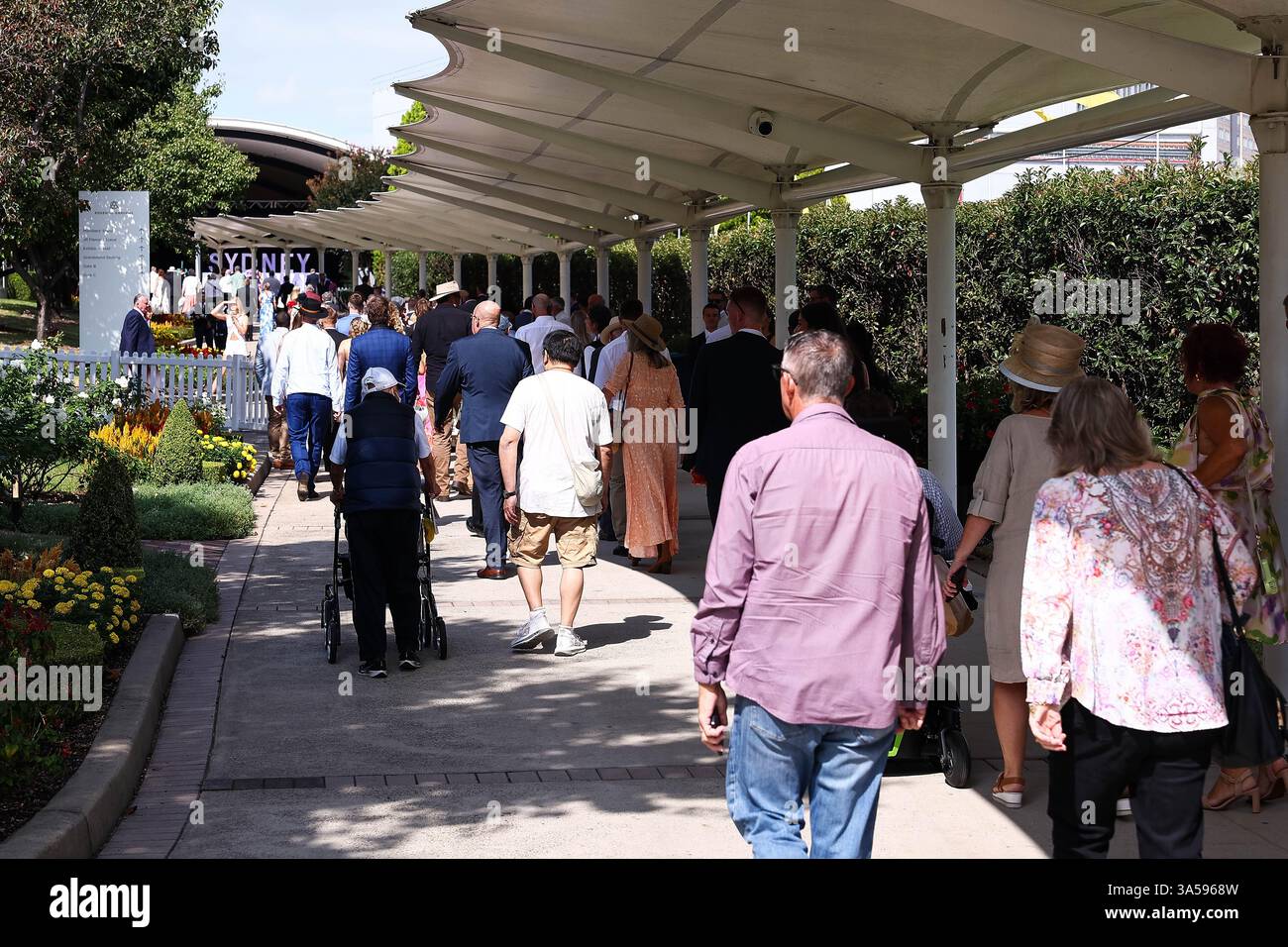 22nd March 2025; Rosehill Gardens Racecourse, Rosehill, Sydney ...