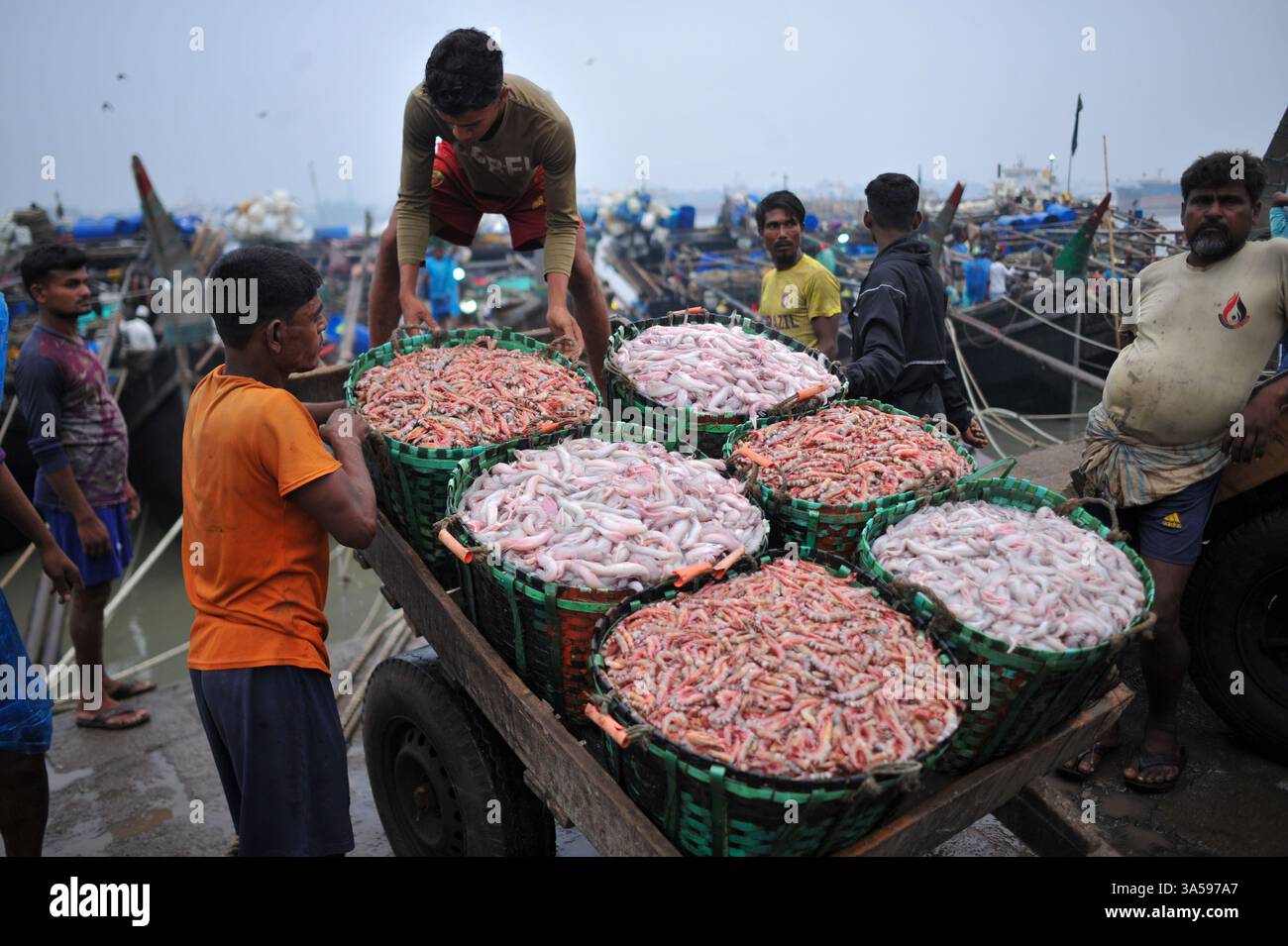 Workers unload fish from the boats at the Chattogram fishery ghat ...