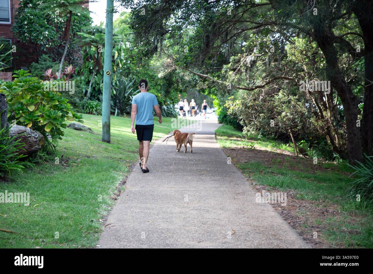 The Spit to Manly walk, Sydney, NSW, Australia Stock Photo - Alamy