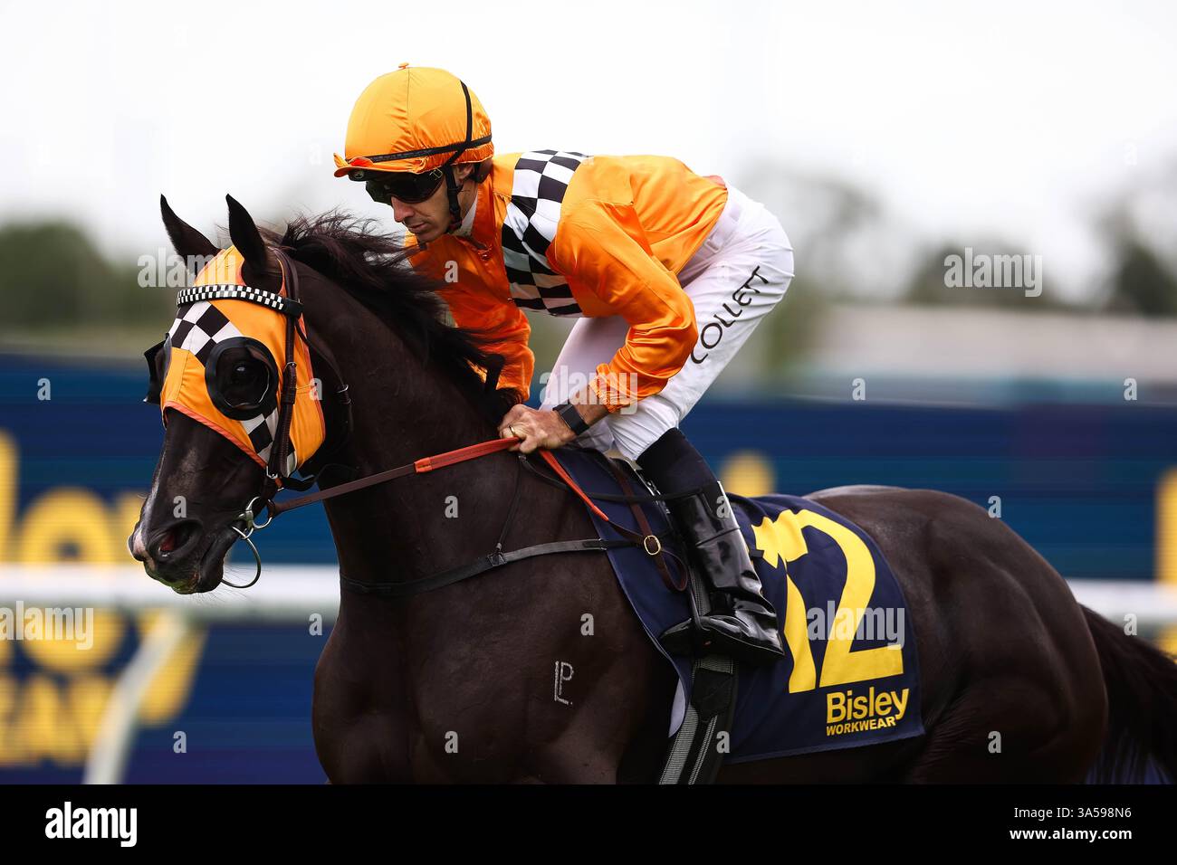 22nd March 2025; Rosehill Gardens Racecourse, Rosehill, Sydney ...