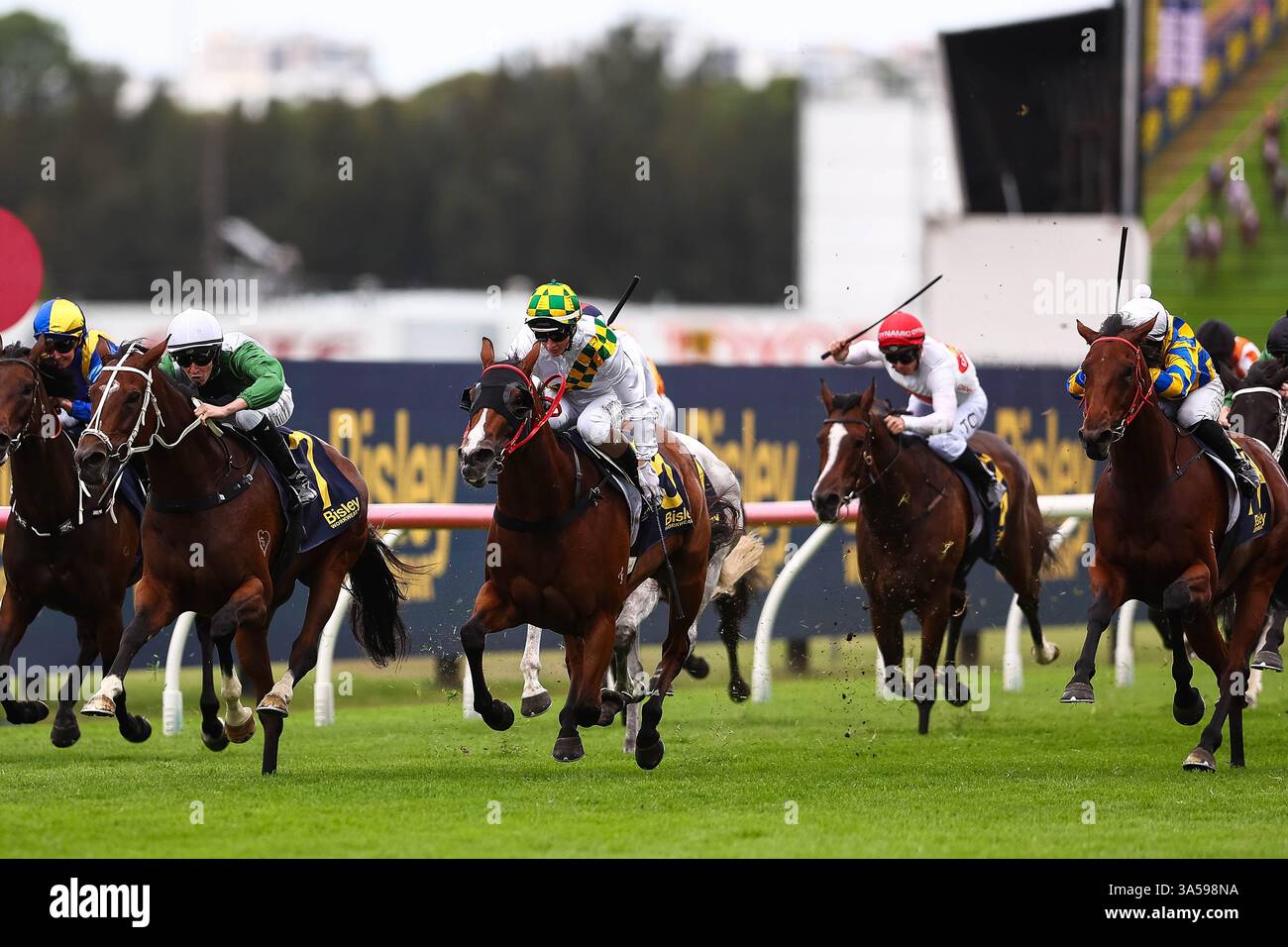 22nd March 2025; Rosehill Gardens Racecourse, Rosehill, Sydney ...