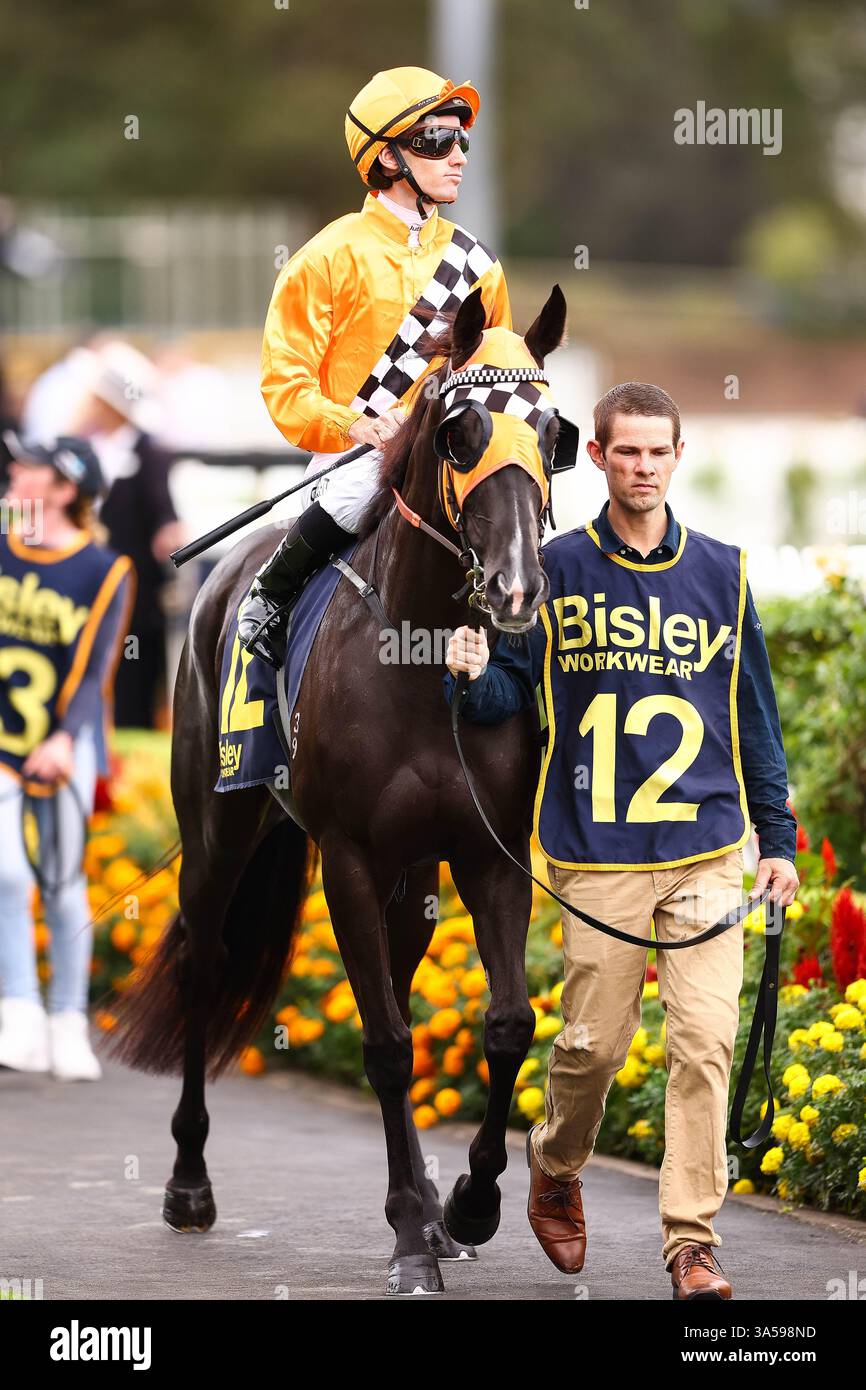 22nd March 2025; Rosehill Gardens Racecourse, Rosehill, Sydney ...