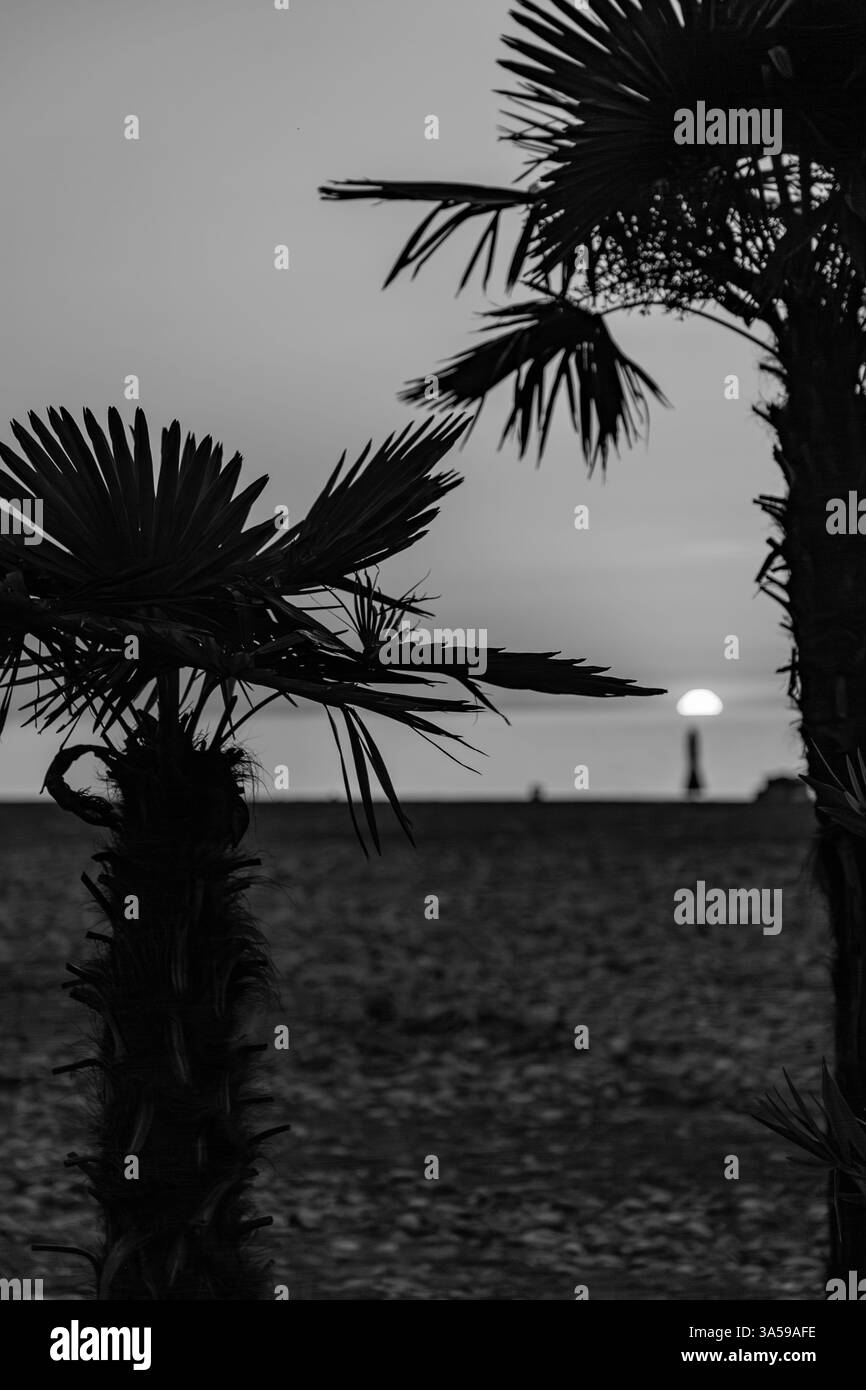 City landmark batumi Black and White Stock Photos & Images - Alamy