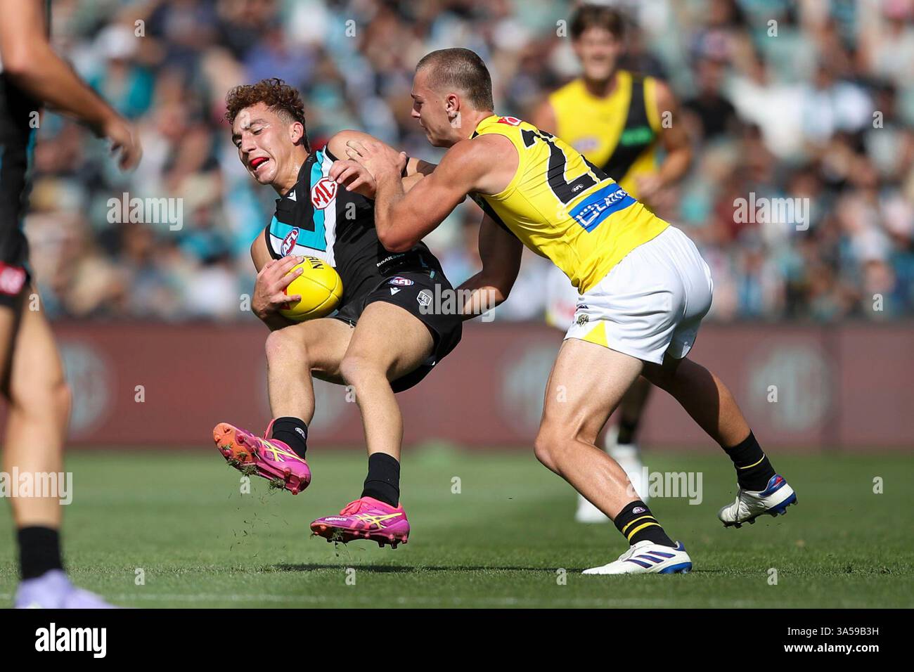 Adelaide, Australia. 22nd Mar, 2025. Logan Evans of the Power is ...