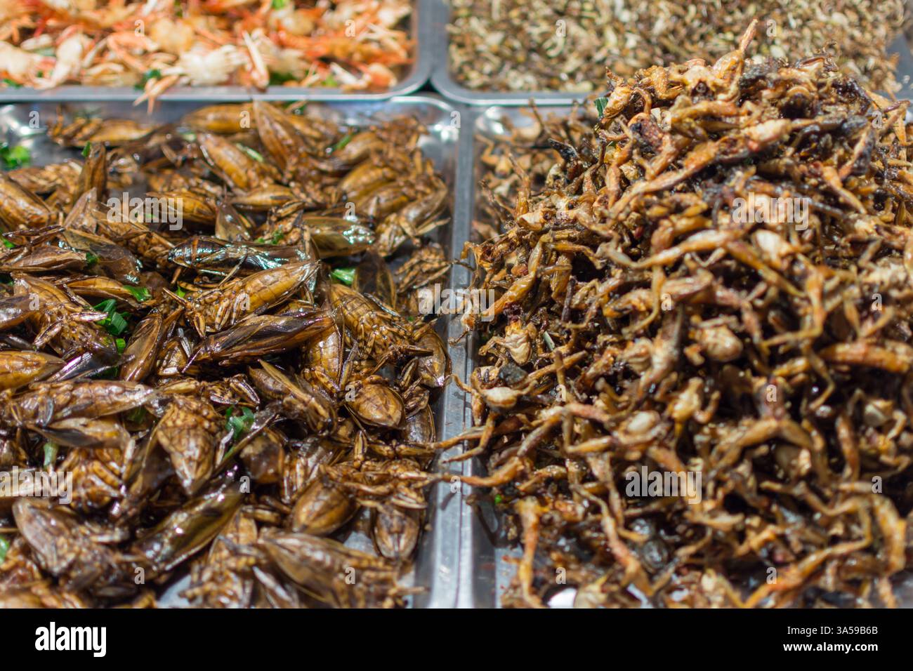 Fried insects various types is the food is easy to find in Thai street ...