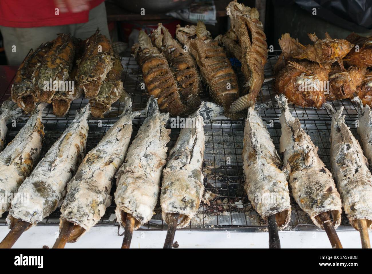 Salt-Crusted Grilled Snakehead fish grill on charcoal stove at market ...