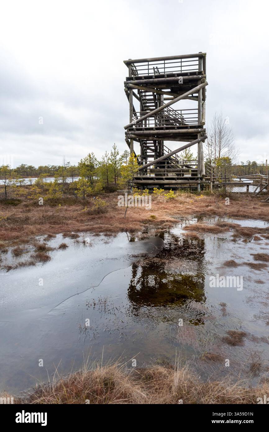 A lookout tower reflected in the swamp water Stock Photo - Alamy