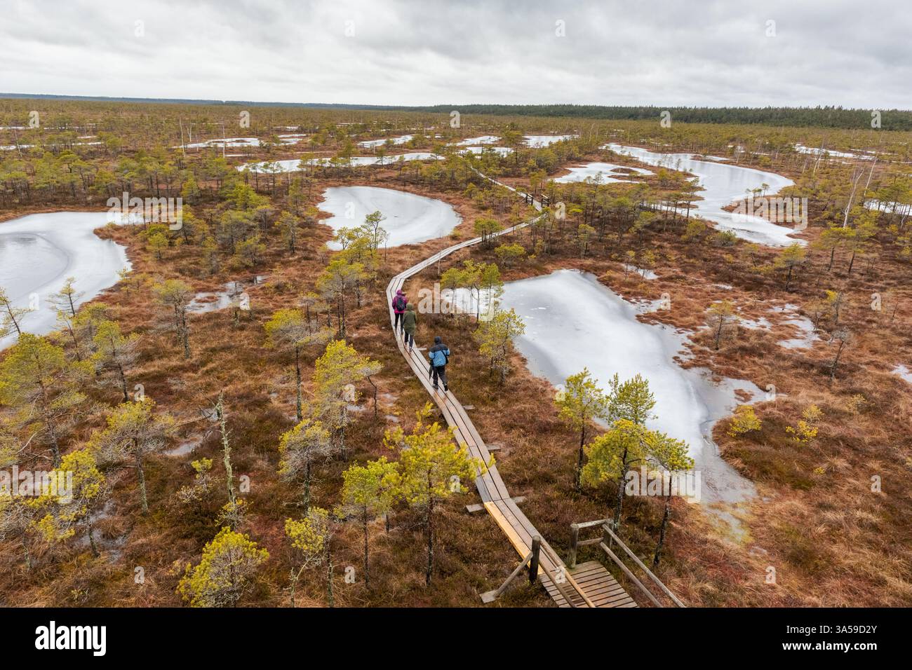 A vast marsh landscape with a wooden boardwalk along which people walk ...