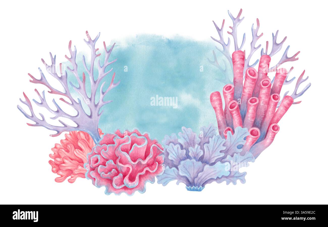 Underwater composition of coral reef. Watercolor and marker ...