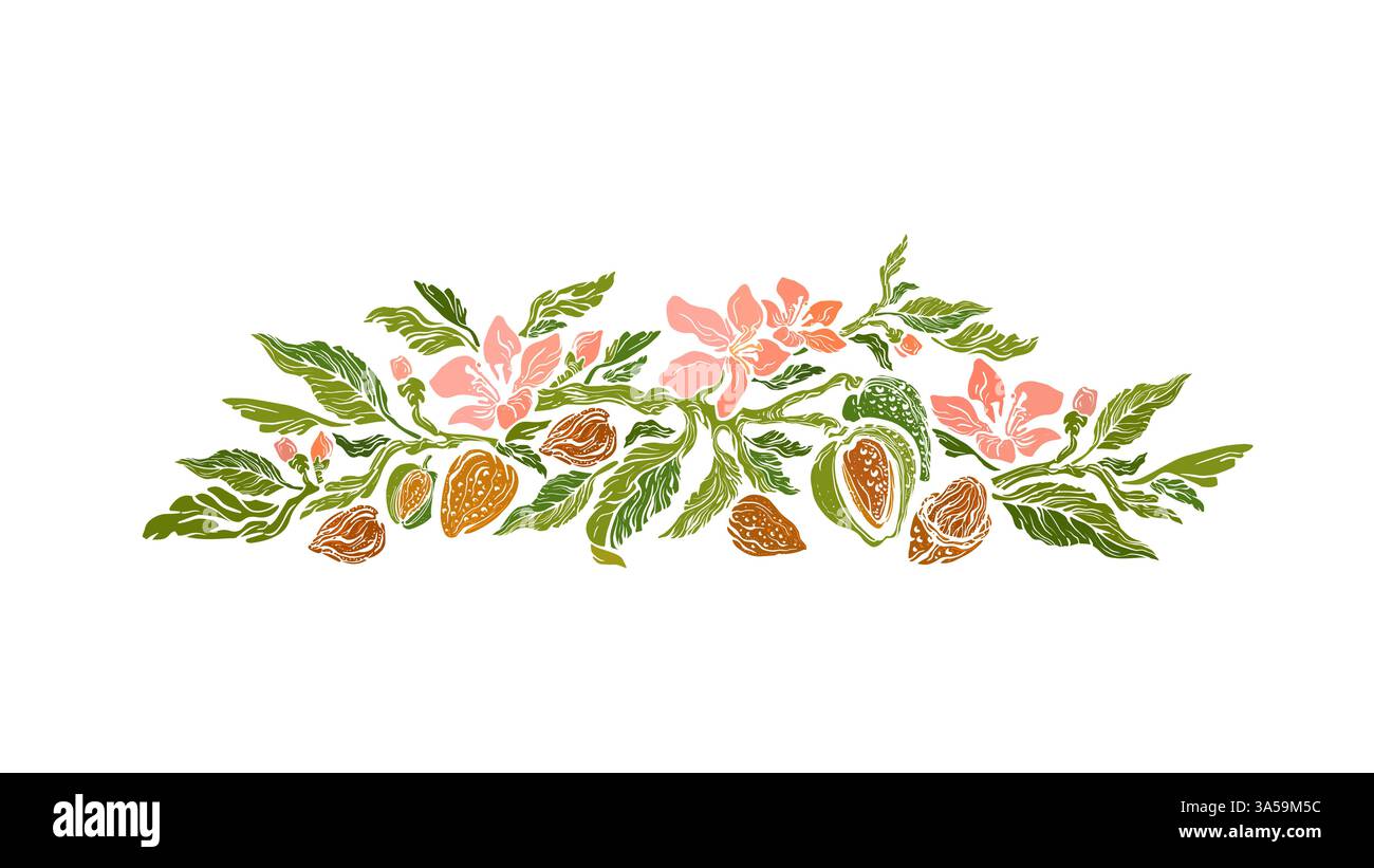 Almond paint tree. Vector band of nuts, flower in bloom, green leaves ...