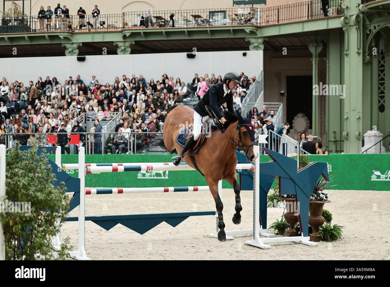 Antoine ERMANN of France with Pegasus Dawsons Flex during the Prix du ...