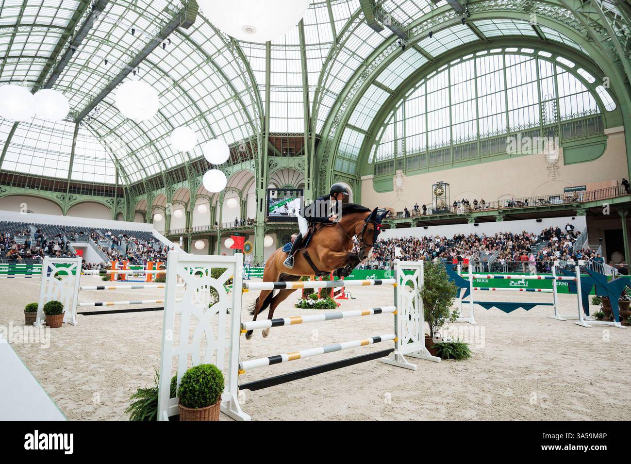 Antoine ERMANN of France with Pegasus Dawsons Flex during the Prix du ...