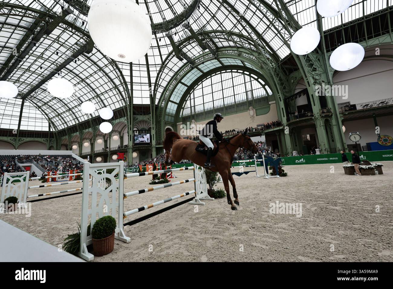 Nicolas DELMOTTE of France with Fein Lotta DK during the Prix du Grand ...