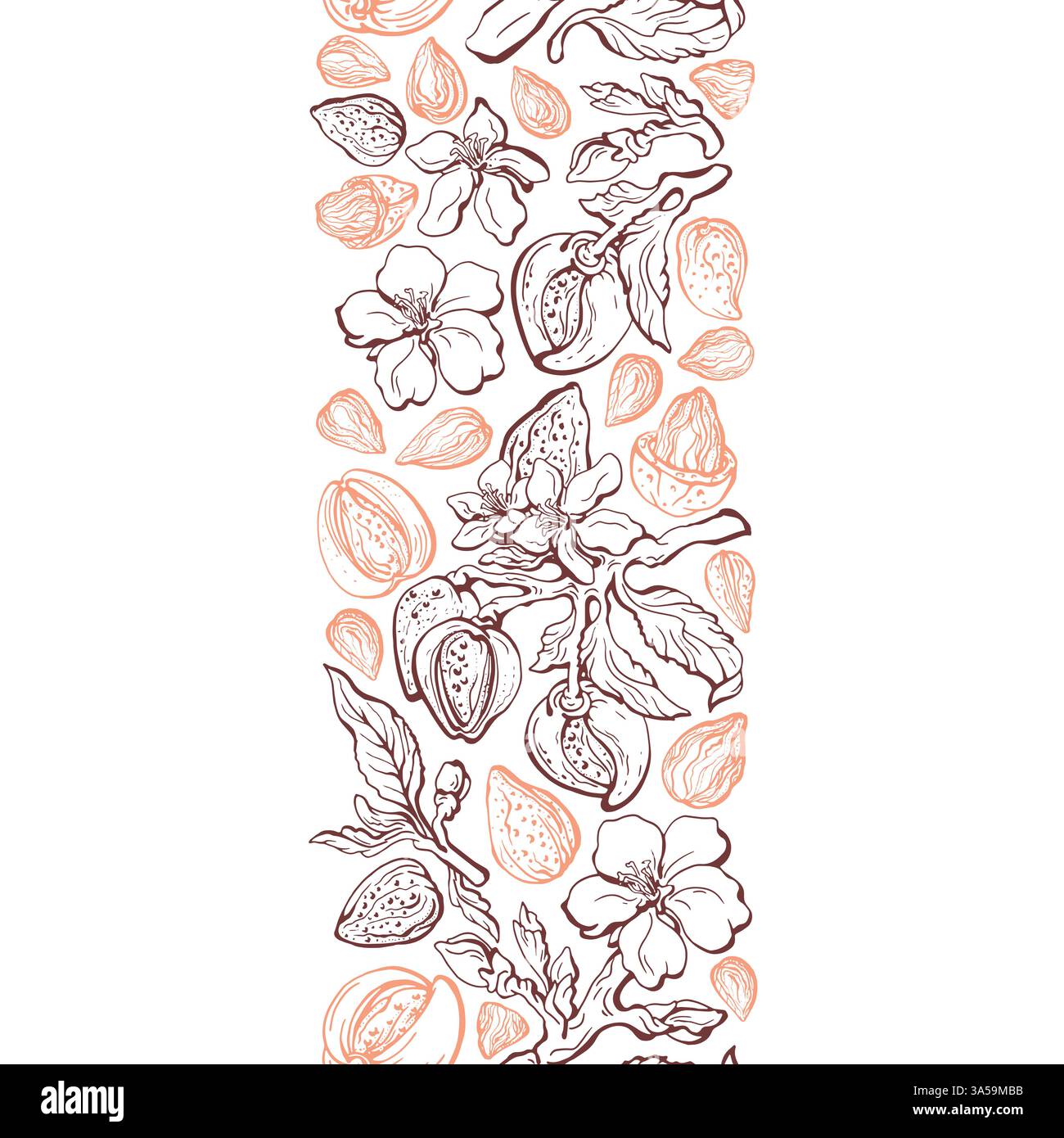 Almond border. Vector vertical seamless pattern. Hand drawn branch ...