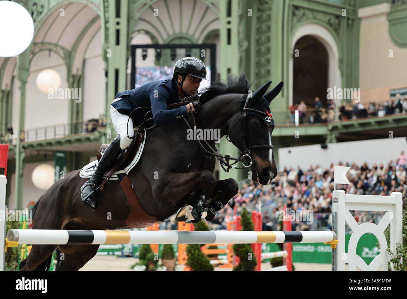 Edward LEVY of France with Vitot du Chateau during the Prix du Grand ...