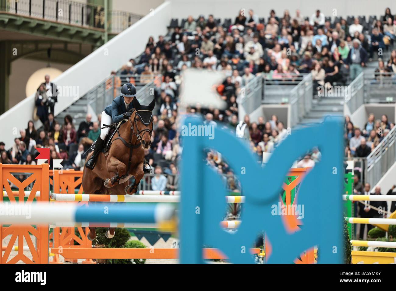 Maya DE LA JOYA FERNANDEZ-LONGORIA of Spain with Un Lord du Rozel ...