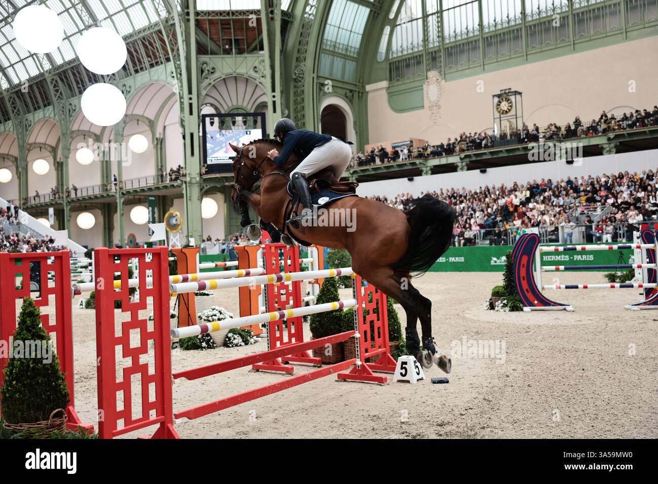 Gregory WATHELET of Belgium with Bond Jamesbond De Hay during the Prix ...